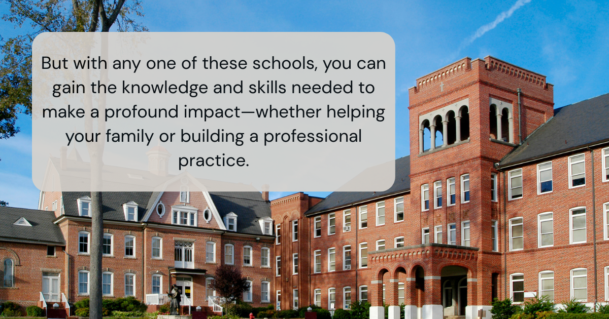 Top Homeopathy Schools: Costs, Pros, and Cons - Emily Frye Homeopathy