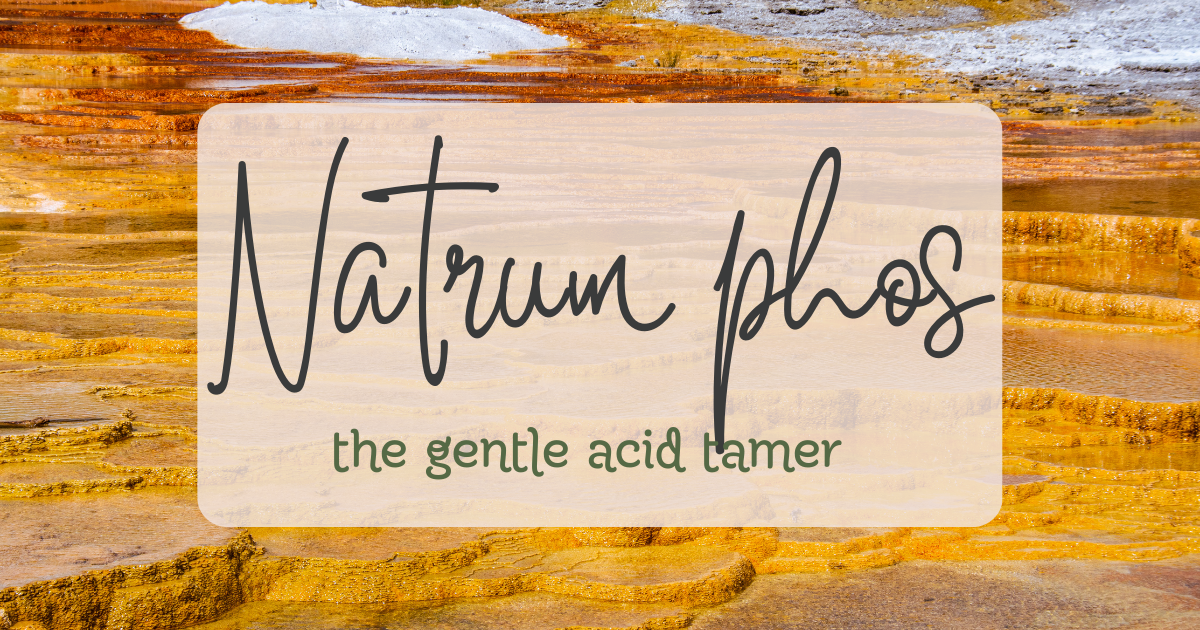 Natrum Phos: The Gentle Acid Tamer - Emily Frye Homeopathy