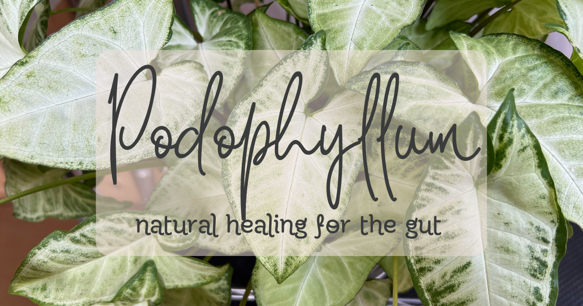 Podophyllum: Natural Healing for the Gut - Emily Frye Homeopathy