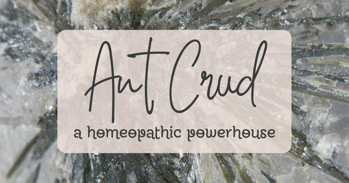 Antimonium Crudum: The Homeopathic Powerhouse - Emily Frye Homeopathy